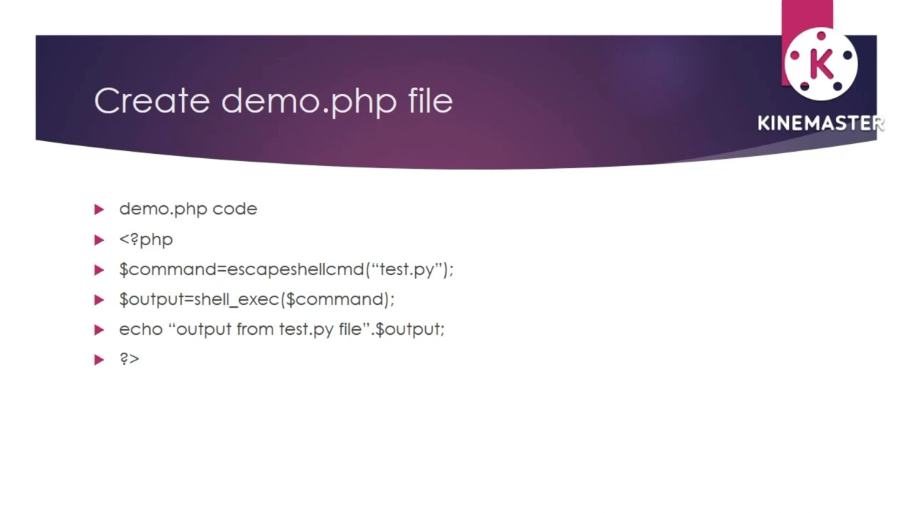 python file run from php file
