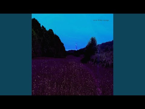 Vast Field