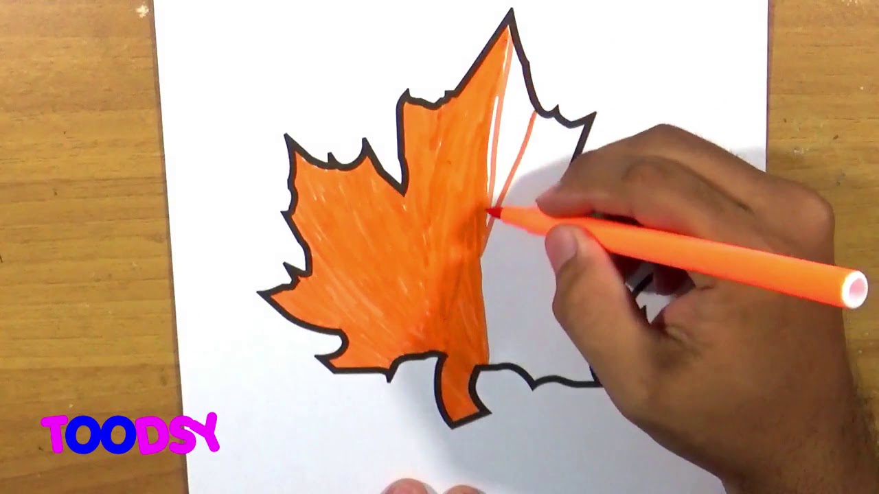 How to Color Maple Fall Leaf Outline Coloring Page