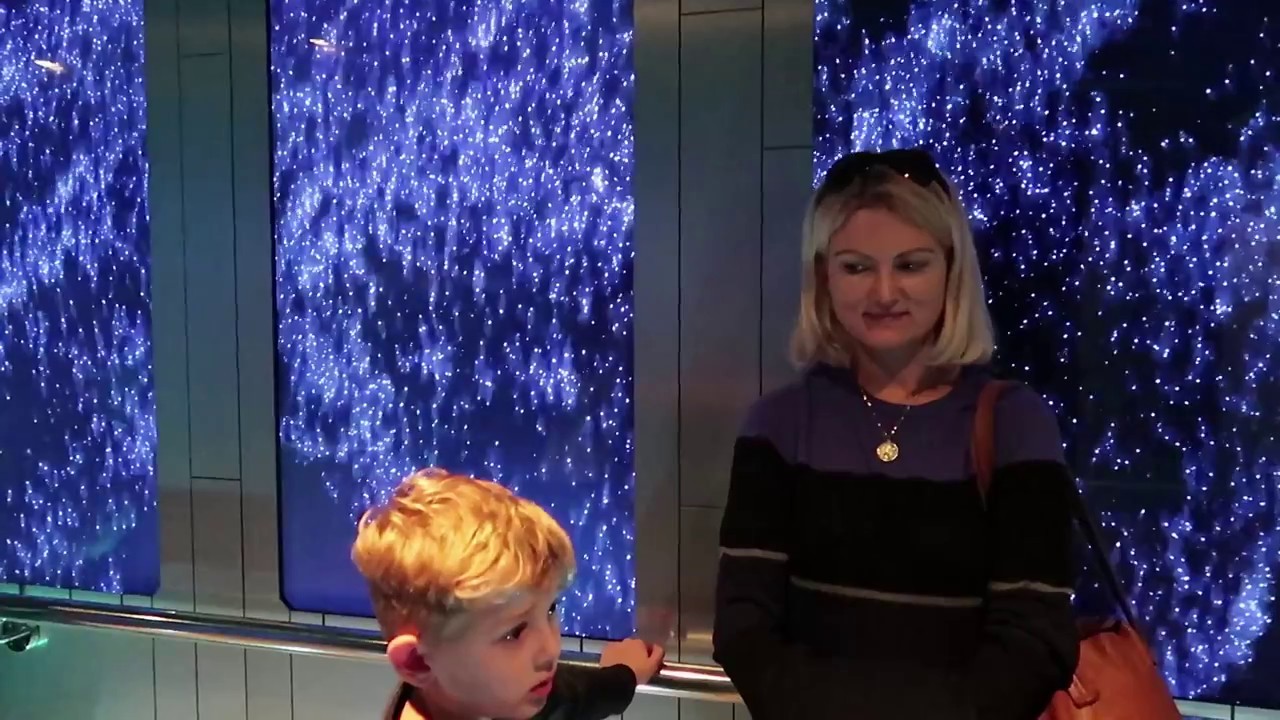 Look inside - Dynamic Earth, Edinburgh 2017