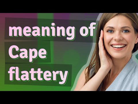 Cape flattery | meaning of Cape flattery