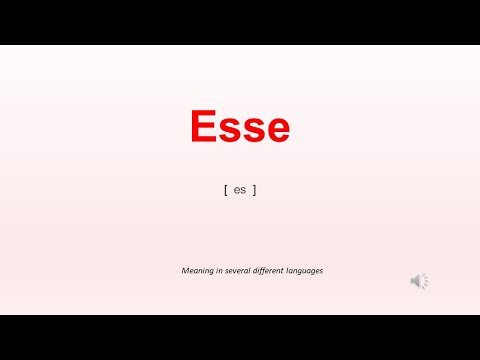 Meaning of Esse | Vocabulary | Learn Languages