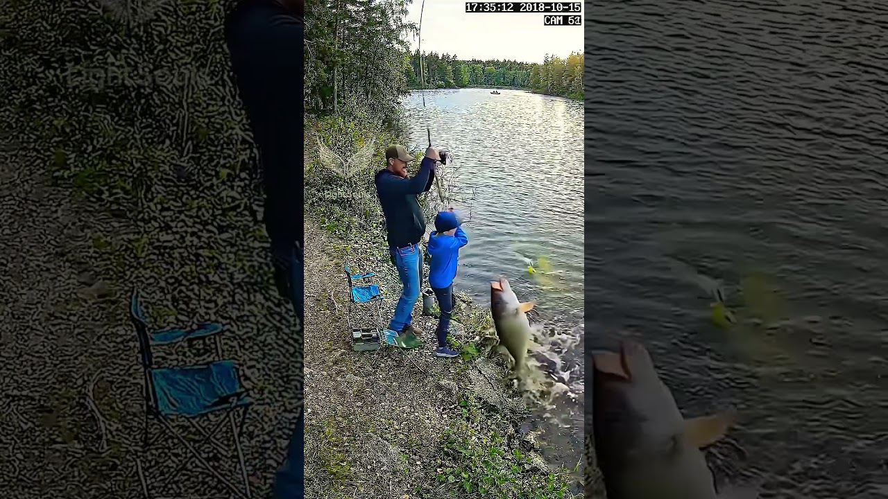 Boy Catches a Huge Fish… Then Makes a Surprising Choice | Heartwarming Kindness Story 🎣#Fishing