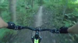 3 Best Hiking Trails in Kansas City, KS - Expert Recommendations