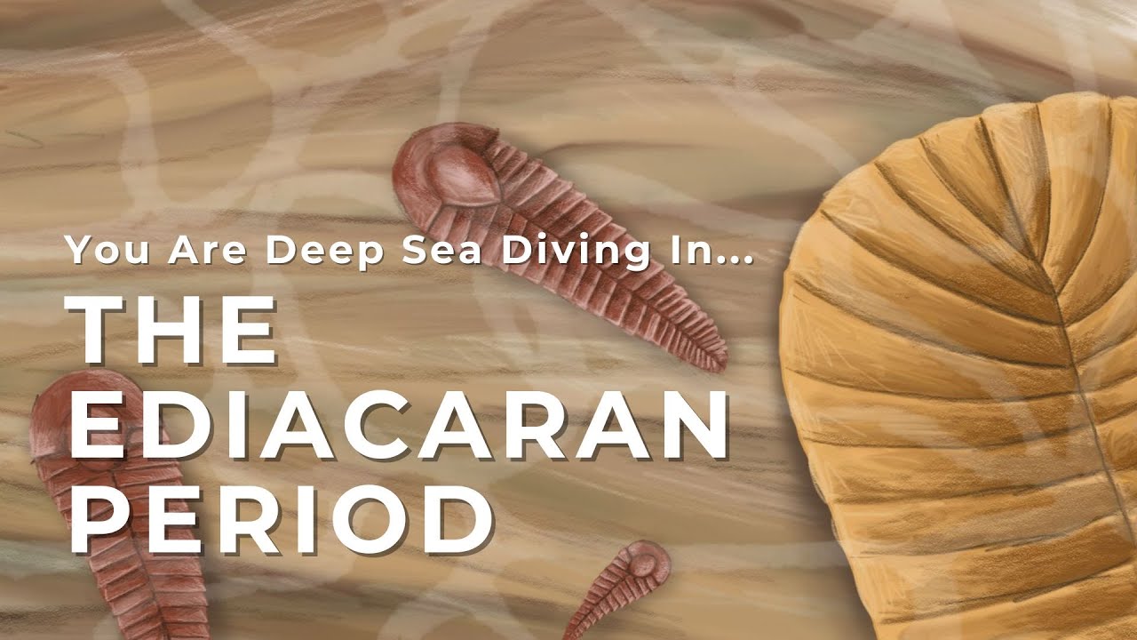You Are Deep Sea Diving In The Ediacaran Period