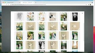 Sprout Studio Software - 2025 Reviews, Pricing & Demo