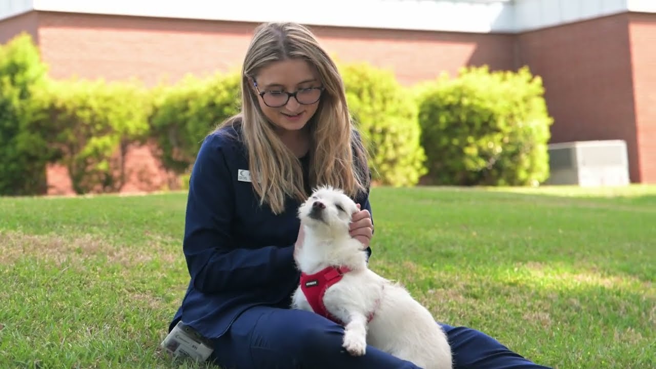 Veterinary Medical Technology Program | Emma