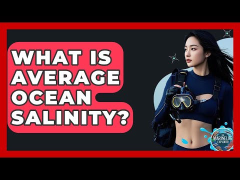 What Is Average Ocean Salinity? - The Marine Life Explorer