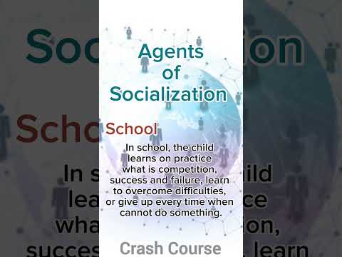 School as agent of socialization
