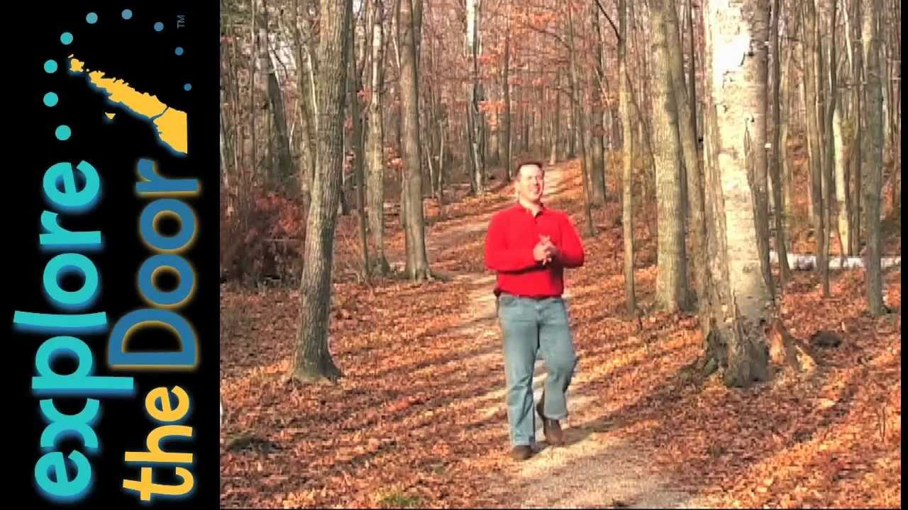 Ellison Bluff County Park Tour