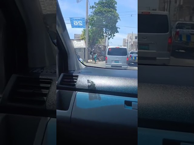 12 arrested in joint operation with JCF, JDF — Police - Jamaica Observer