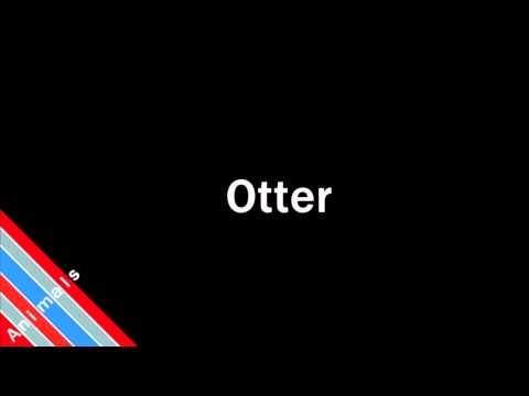 How to Pronounce Otter