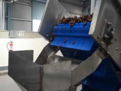 Haldi Processing Plant - Turmeric Processing Plant Latest Price ...