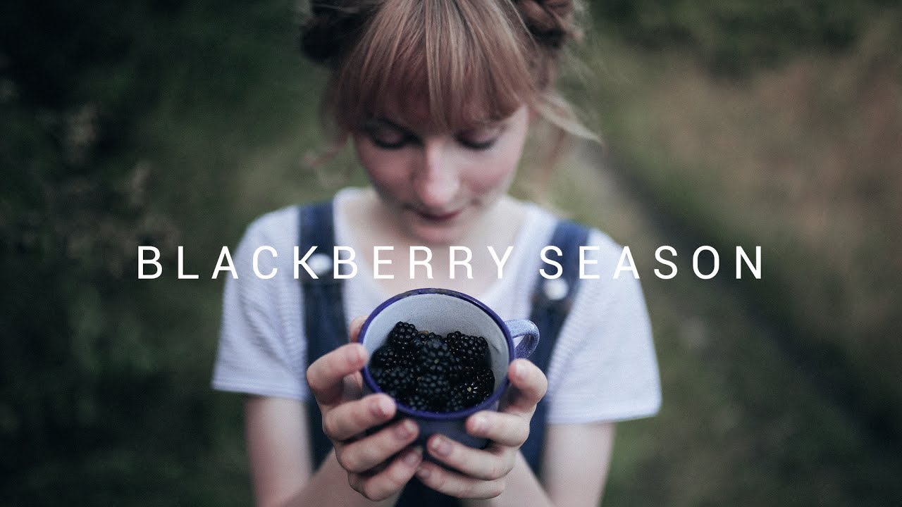 Blackberry Season