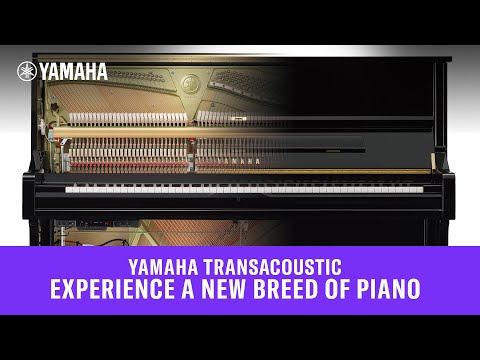 Yamaha TransAcoustic - Experience A New Breed of Piano