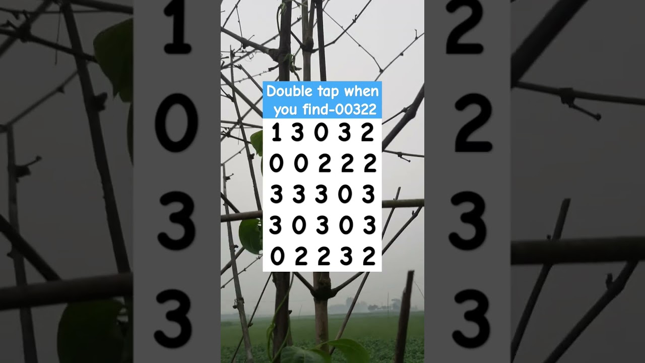 Observation Visual Test: 5 Seconds For You To Spot 00322 Try Your Skills! #search #puzzle #shorts