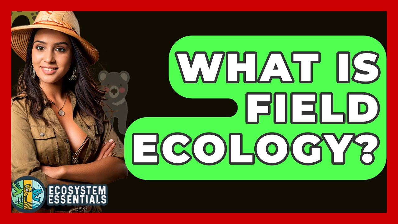 What Is Field Ecology? - Ecosystem Essentials