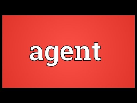 Agent Meaning