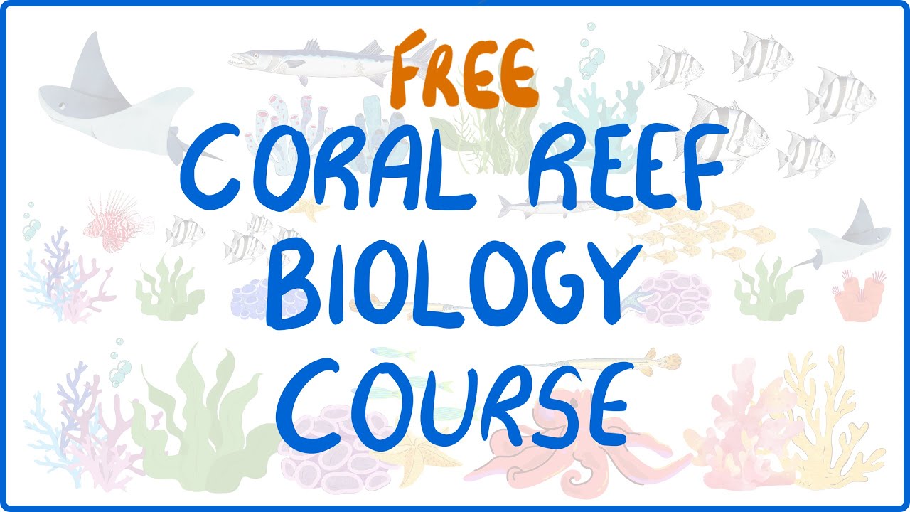 Free Coral Reef Biology Course | Explore Marine Biology