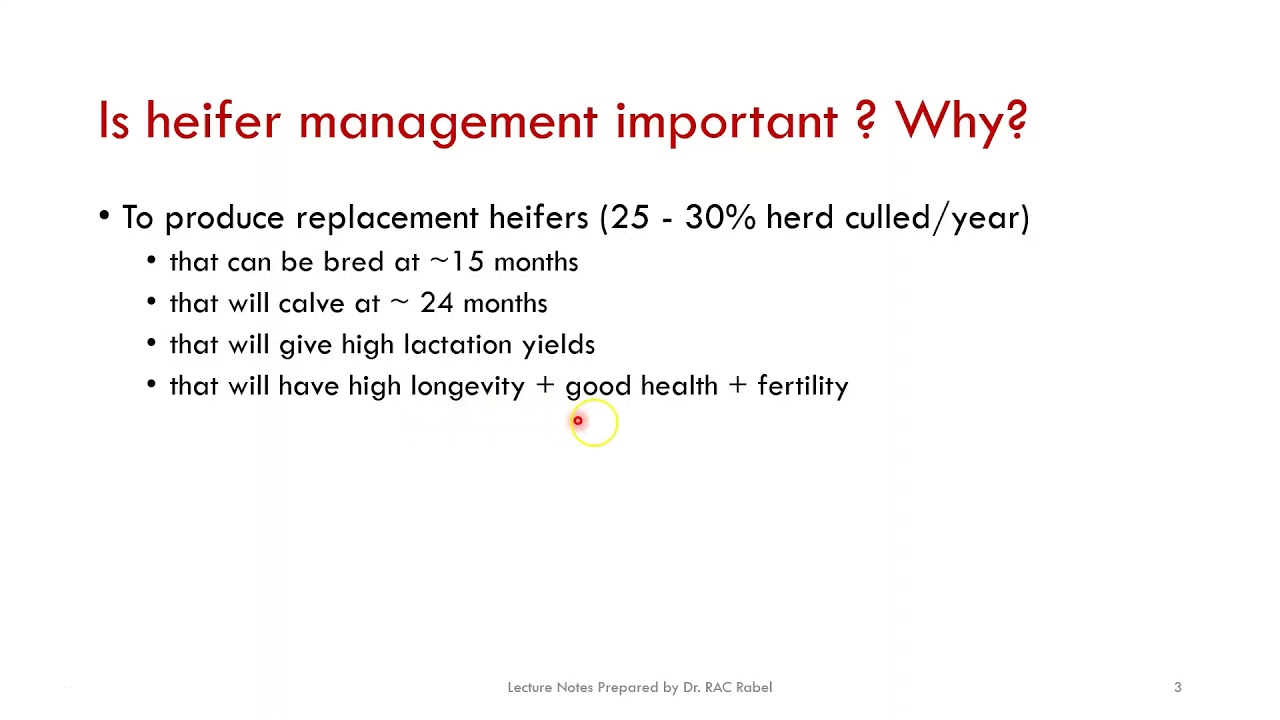Heifer Management - Part 1
