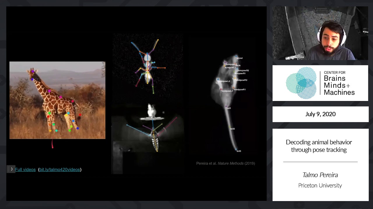 Decoding Animal Behavior Through Pose Tracking