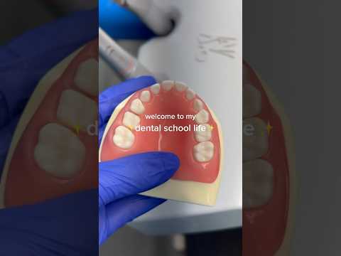 welcome to dental school 🤍✨🦷 #dentalschool #dentalstudent #dentist #dentallife #asdoh #atsuasdoh