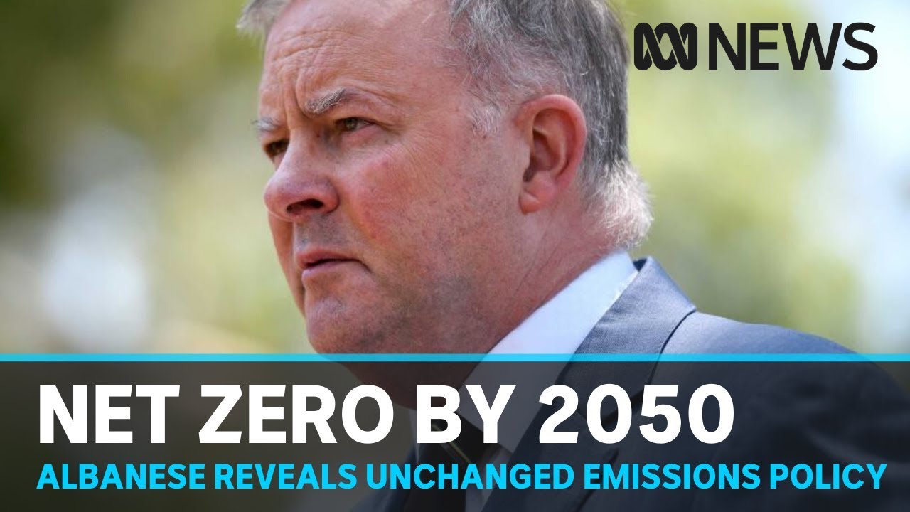 Labor to keep net zero emissions target for 2050 | ABC News