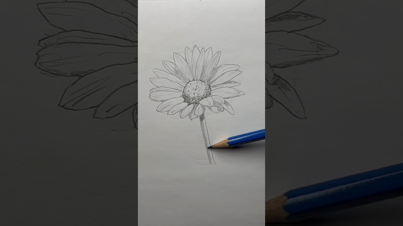 Draw a flower 🌸 Easy drawing lesson for beginners on how to draw a flower. #drawinglesson#howtodraw