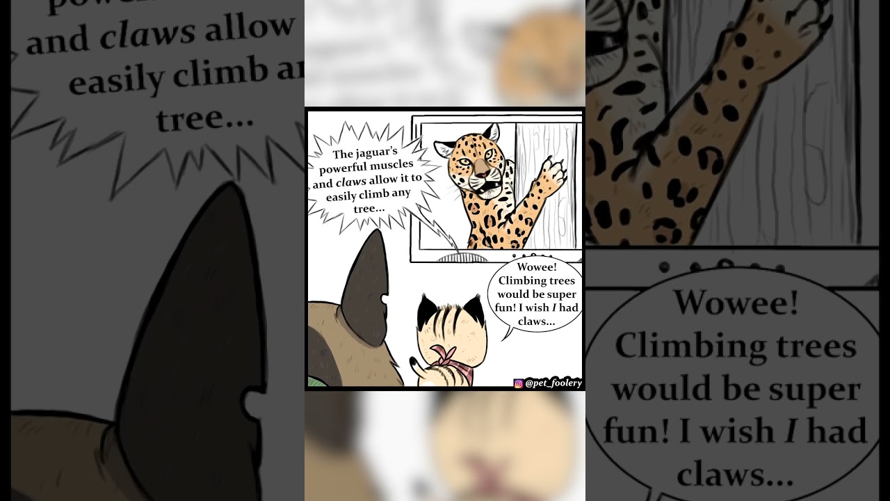 Pixie & Brutus: Claws