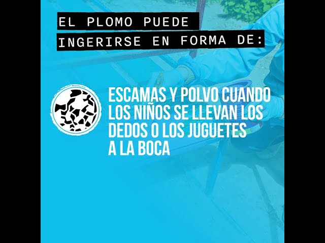 Intoxicación por plomo y sus síntomas; aquí te decimos cuáles son