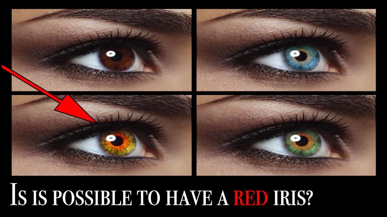 The Genetics of Eye Color | Why Do Eyes Have Color?