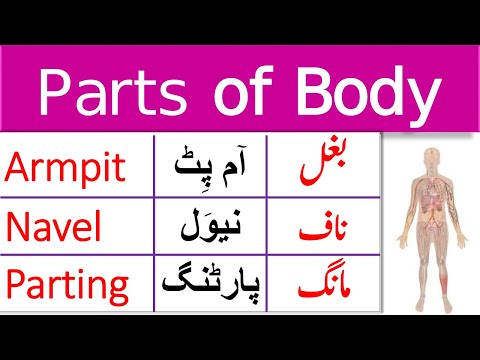 Parts of Body In English with Urdu Meaning | Human Body Parts in English | @AWEnglish