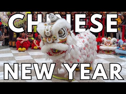 Chinese New Year 2025 Lion Dance & Traditional Chinese Dances