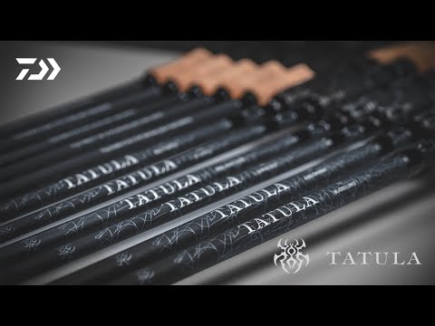 Daiwa Tatula Casting Rod | Sportsman's Warehouse