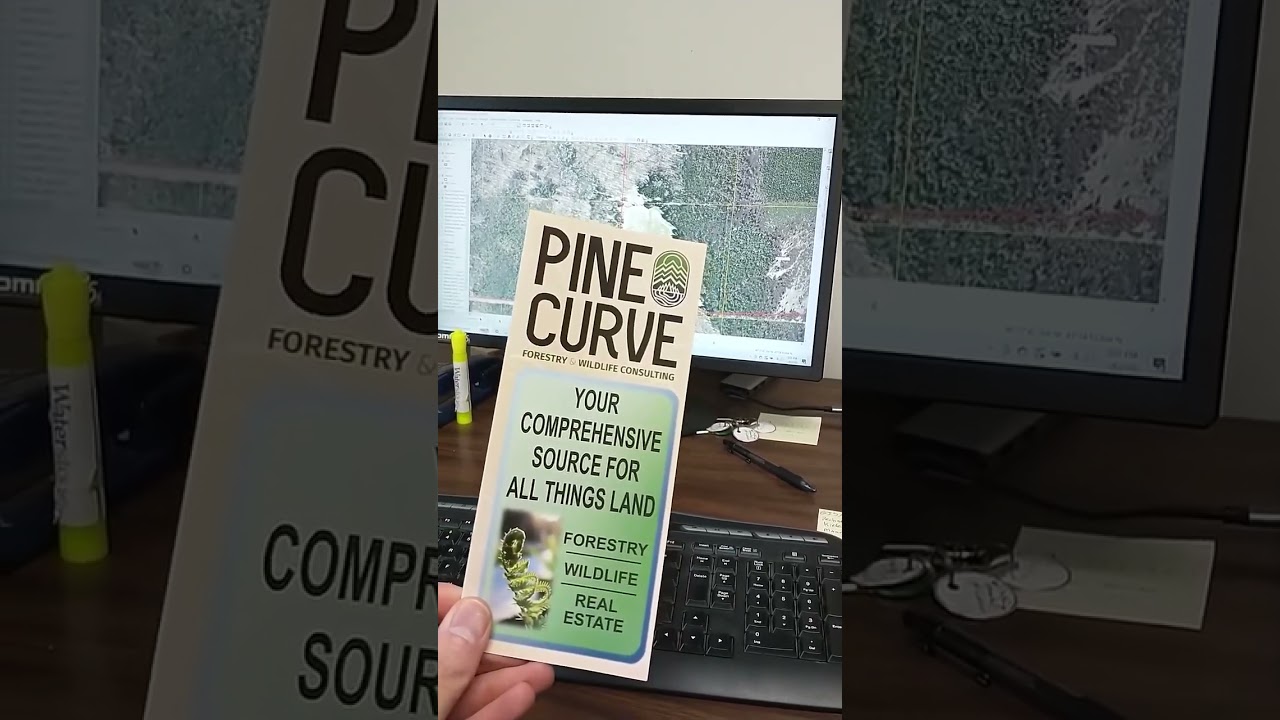 Day in the Life: Matt Schultz, Consulting Forester