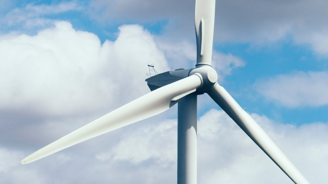 ‘World-leading’: Technology designed to prevent birds from colliding with wind turbines
