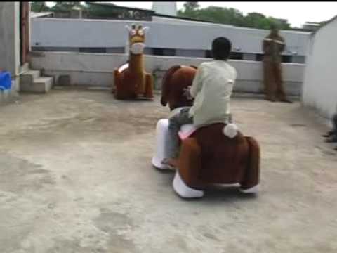 Animal Rider at Best Price in India