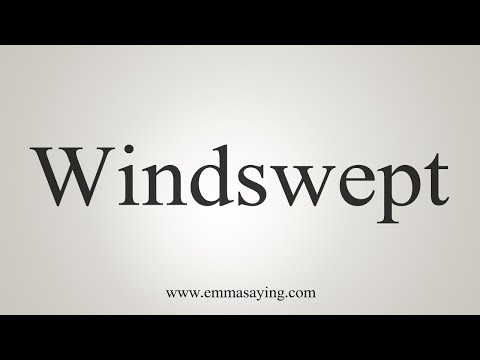 How To Say Windswept