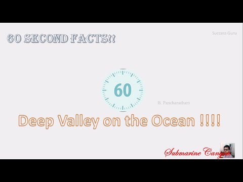 60 Seconds facts - Fact Number 17 - Submarine canyon