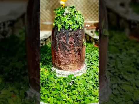 Mangalam Bhagwan Vishnu | मंगलम भगवान विष्णु,मंगलम गरुड़ ध्वज | विष्णु मंत्र