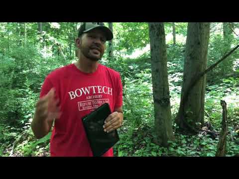 Watch Our Trail Cams For Free!