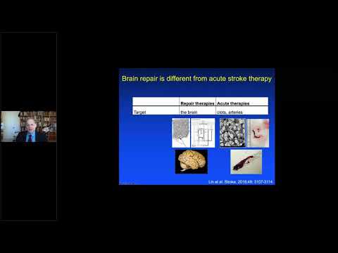Brain Repair after Stroke