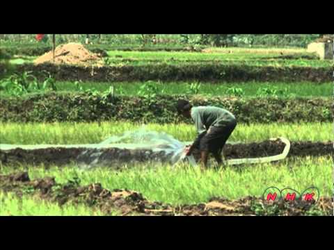 Sangiran Early Man Site - Videos - UNESCO World Heritage Centre