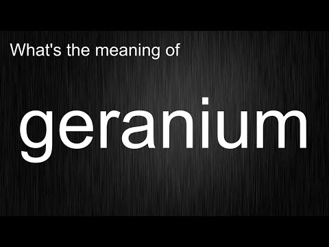 What's the meaning of "geranium", How to pronounce geranium?