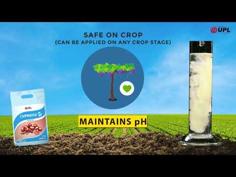 UPL Cuprofix Disperss Fungicide, 1 kg, Price from Rs.0/unit onwards ...