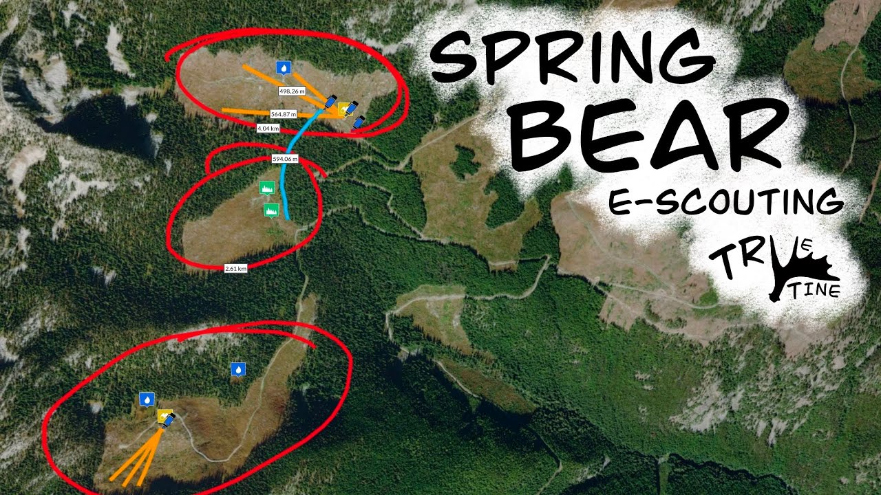 E-Scouting a Spring Bear Hunt 2024