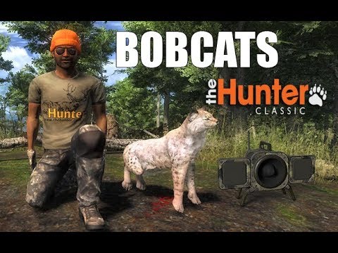 Steam Community :: theHunter Classic