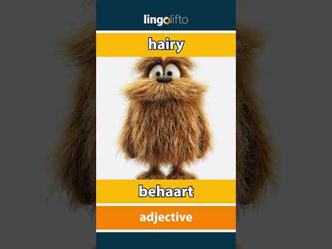 🇬🇧🇩🇪 hairy - behaart : learn English : Lernen wir Englisch : vocabulary builder