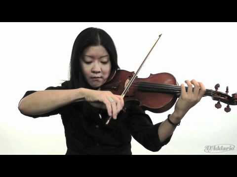 Prim Violin String D Orchestra iMuso