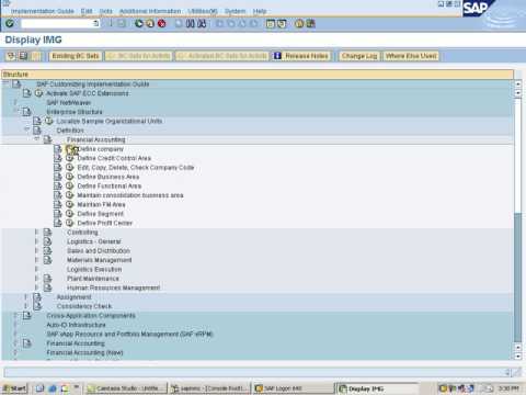 CREATE COMPANY in SAP SD Module.